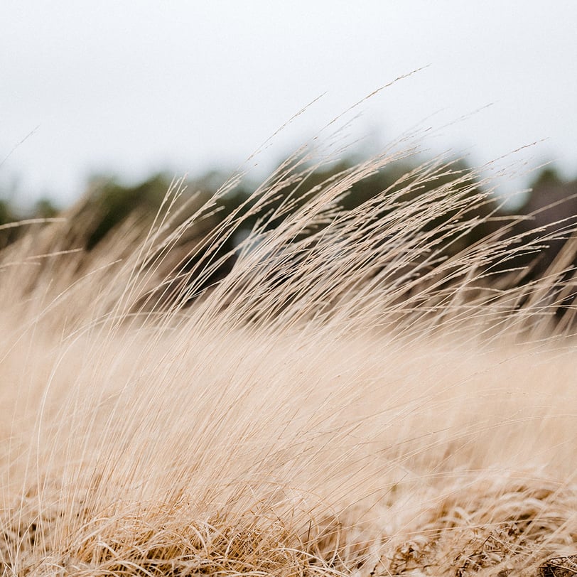 The Ashen Collection from A.S.Helsingö